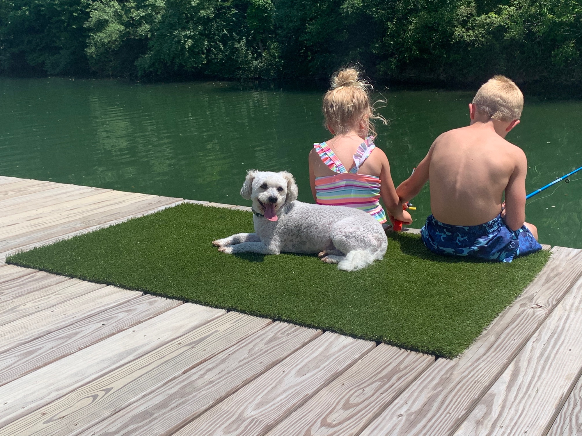 Dog Friendly Artificial Grass Accessories - Shop K9Grass