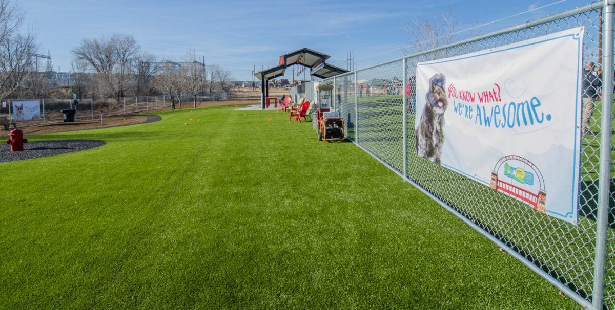Artificial Turf for Dog Parks & Dog Runs | K9Grass by ForeverLawn