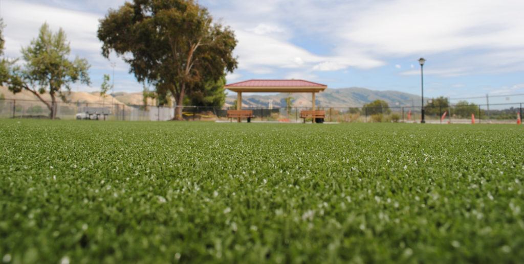 Artificial Turf for Dog Parks & Dog Runs | K9Grass by ForeverLawn