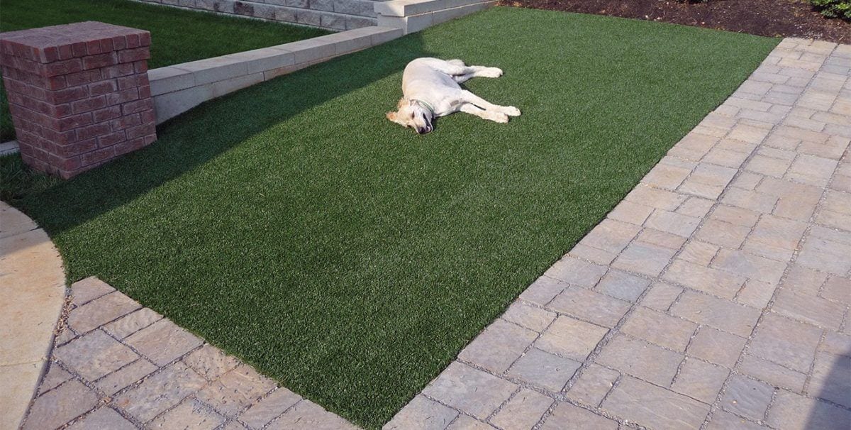 Artificial Lawn for Dog Run - Residential Properties | K9Grass