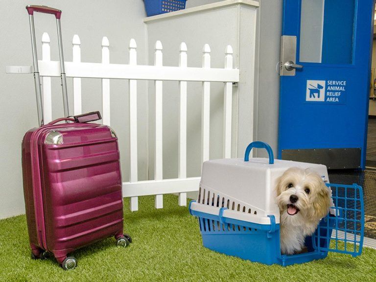 Washington Dulles Airport Indoor & Outdoor Pet Relief Areas