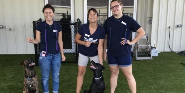 Beaches Jet Set Pets - Jacksonville, FL | K9Grass by ForeverLawn