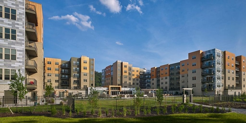 The Yards at 3 Crossings - Pittsburgh, PA | K9Grass by ForeverLawn